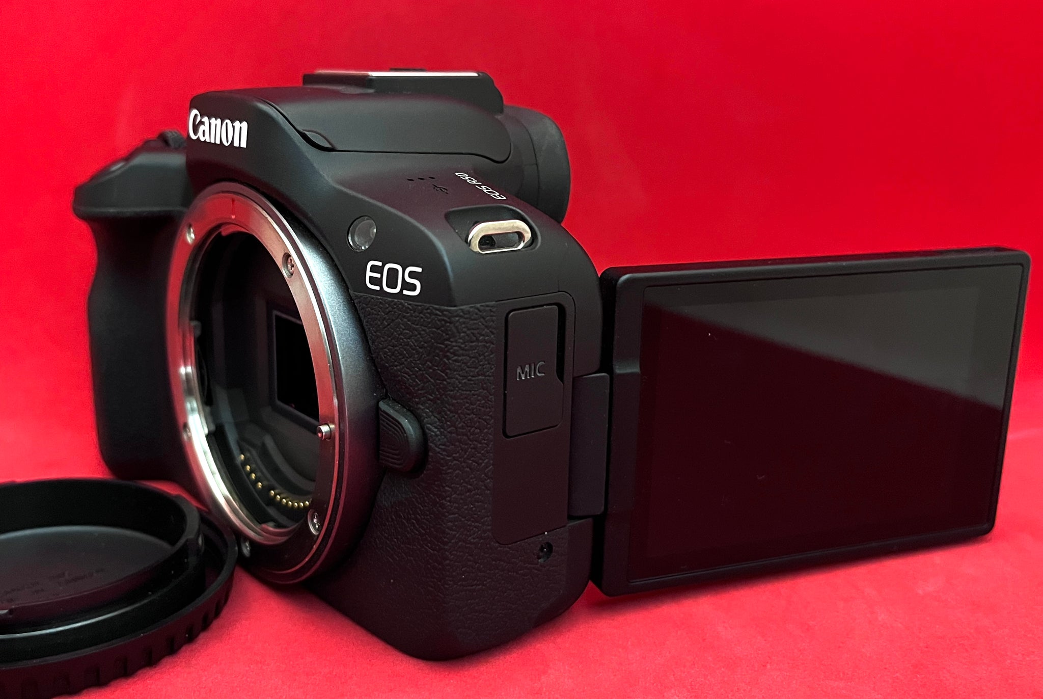 Canon EOS R50 Mirrorless Camera Body (used) – Luck Tech Cameras
